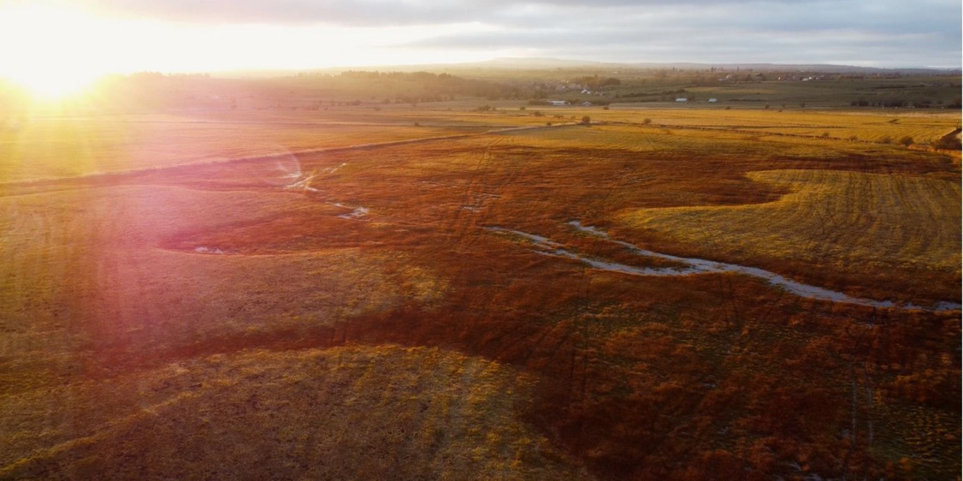 Histoire d’une narse - France, Belgique 2022 - sur Cinergie.be